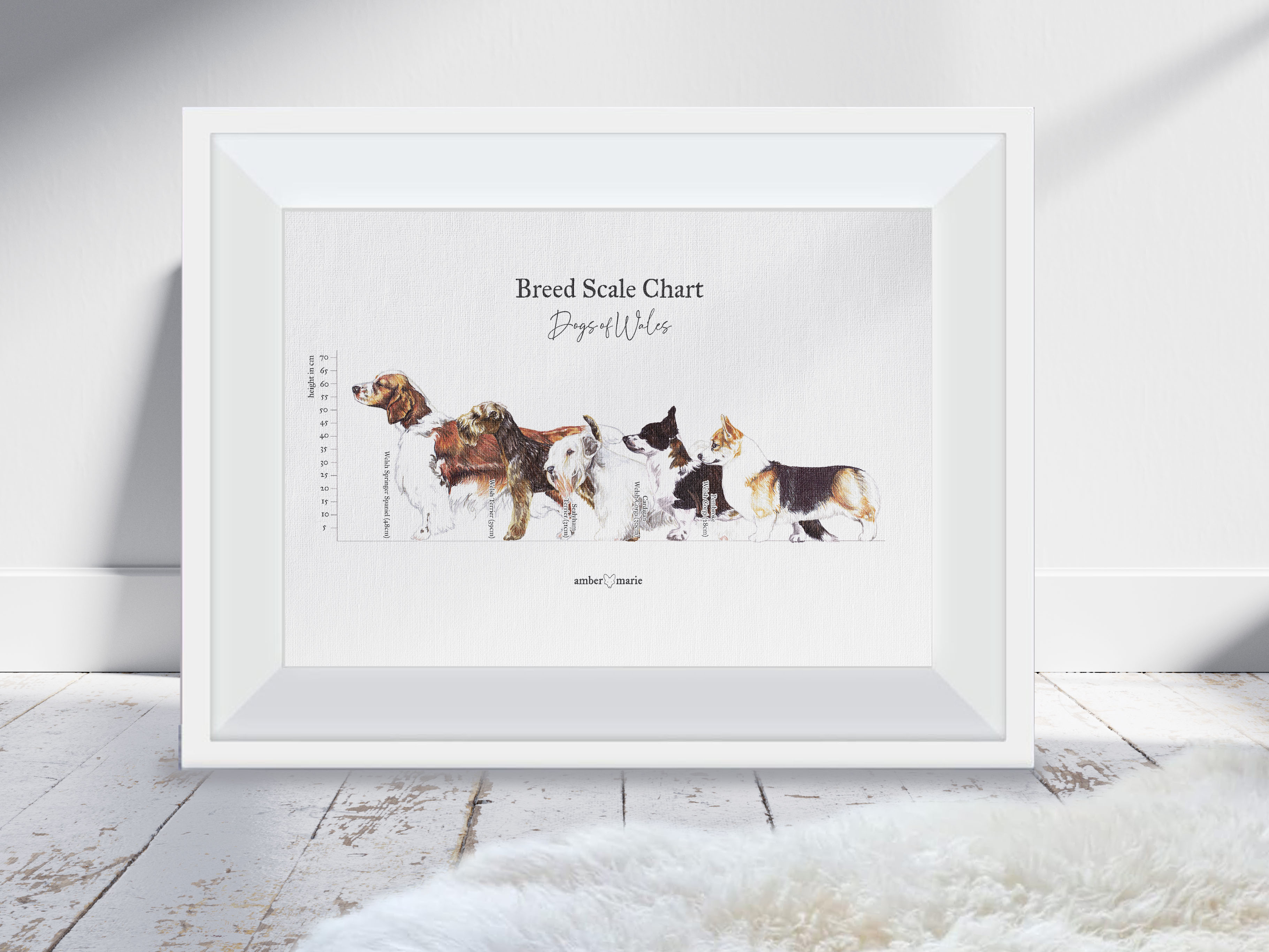 Breed Scale Chart - Dogs of Wales - Poster | Amber Marie Studio