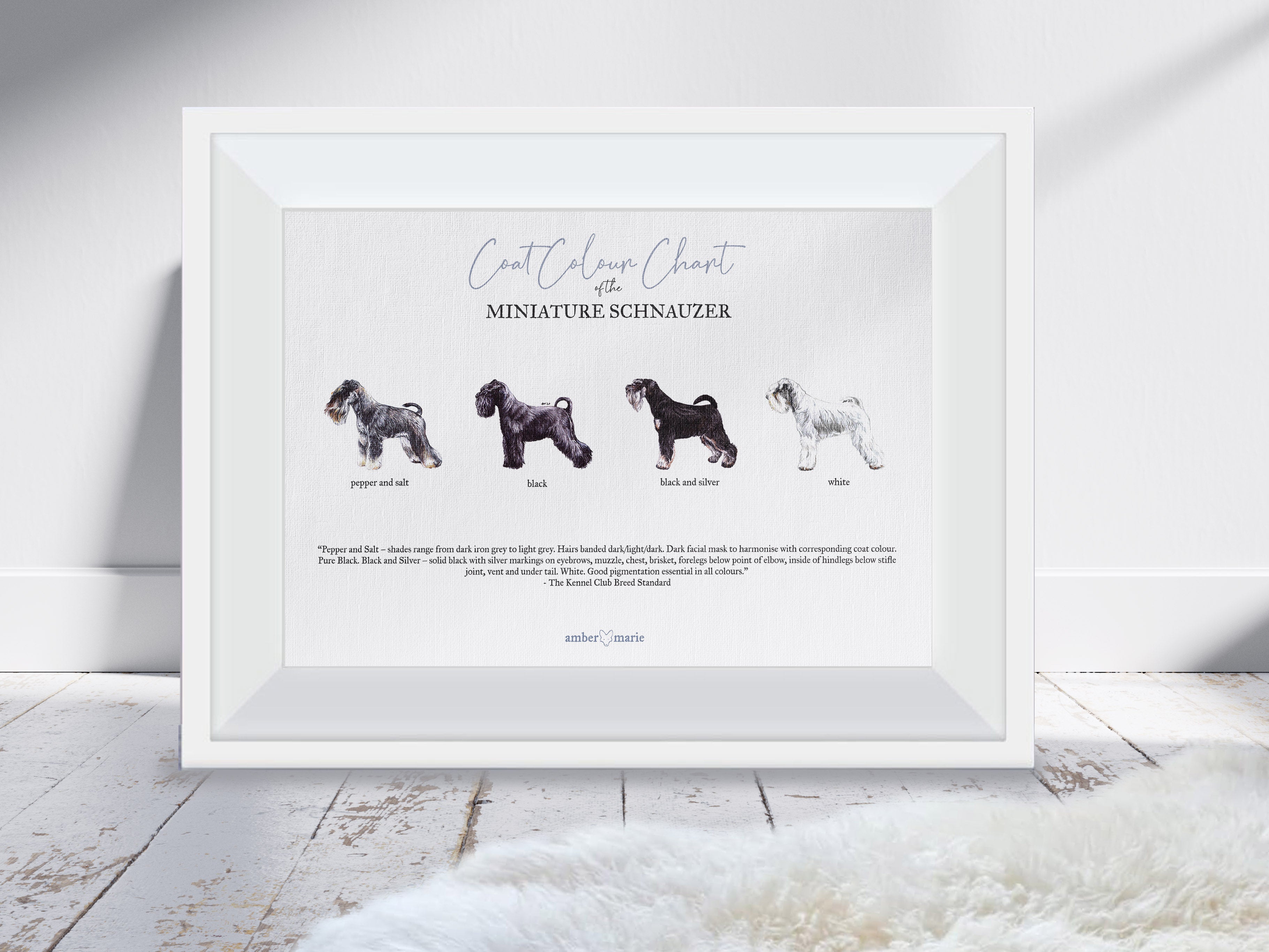 Miniature Schnauzer - Coat Colour Chart - Poster / Print - Judge's Gift ...