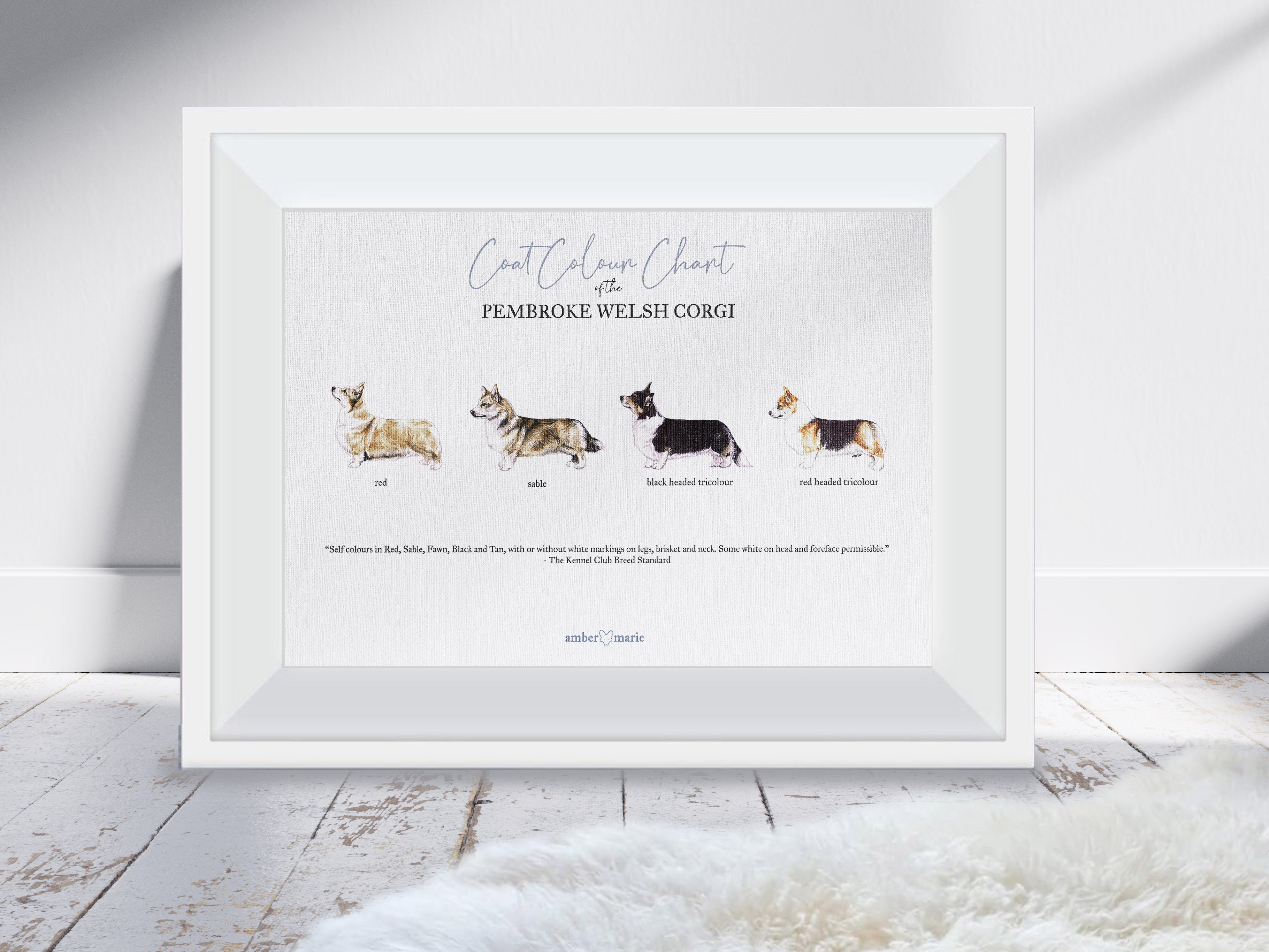 Pembroke Welsh Corgi - Coat Colour Chart - Poster / Print - Judge's ...