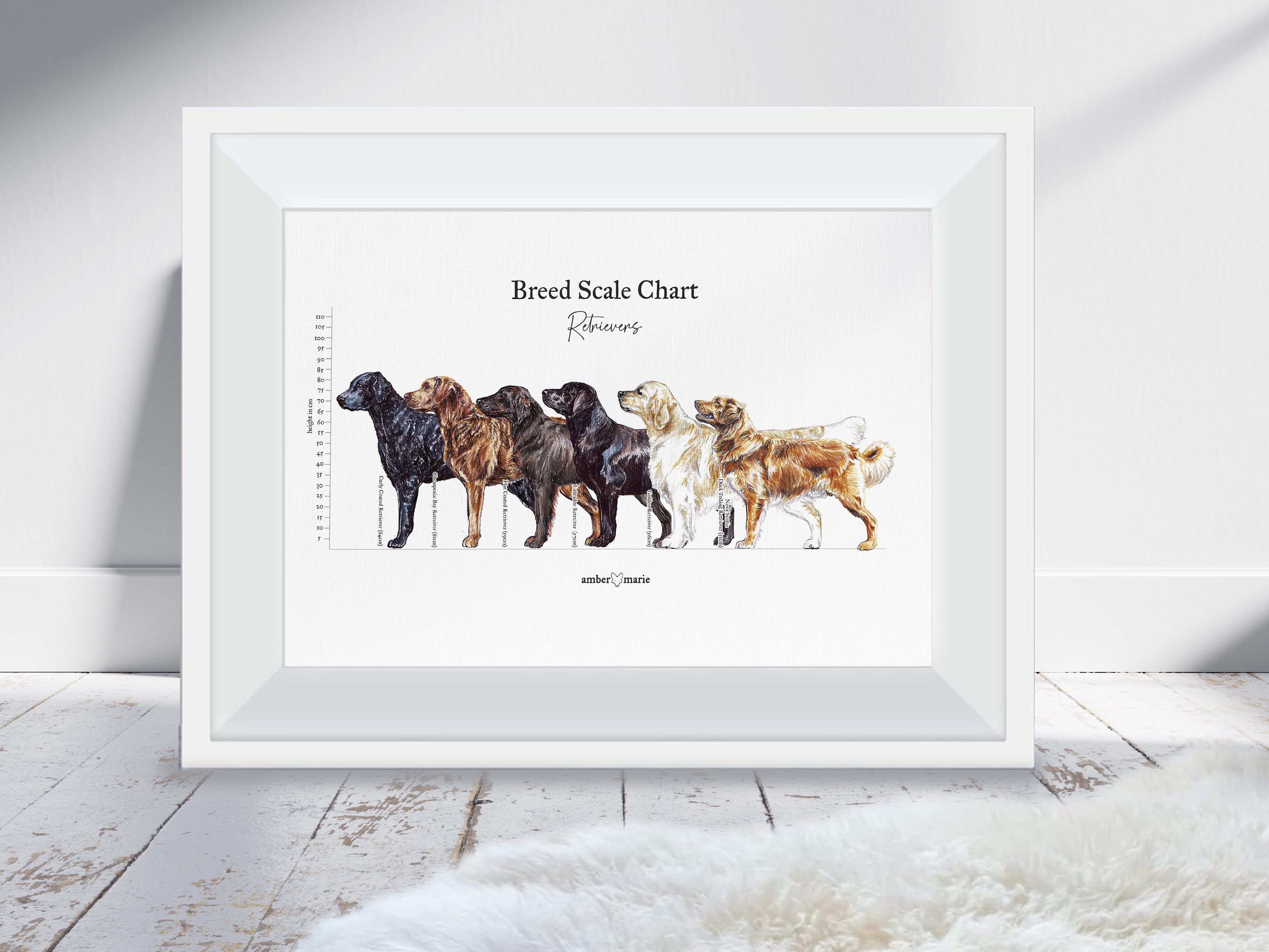 Breed Scale Chart - Retrievers Poster | Amber Marie Studio
