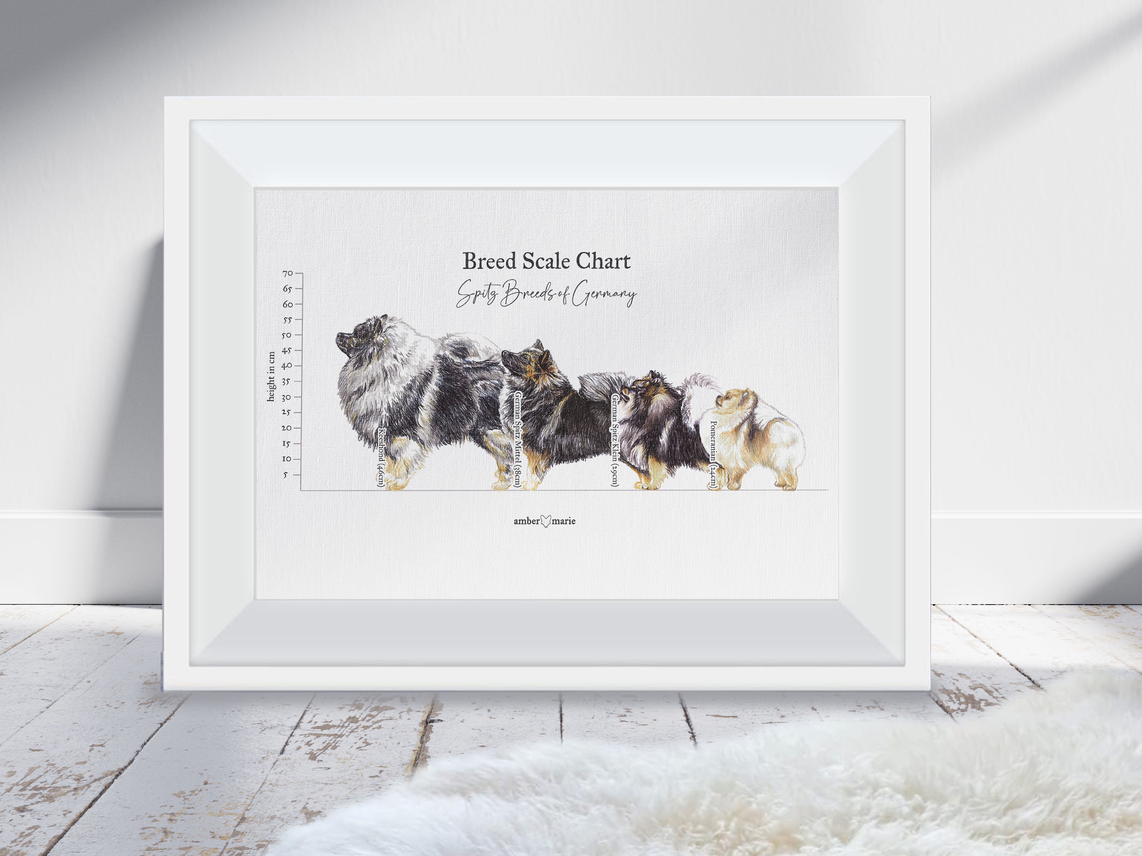 Breed Scale Chart - German Spitz Breeds | Amber Marie Studio