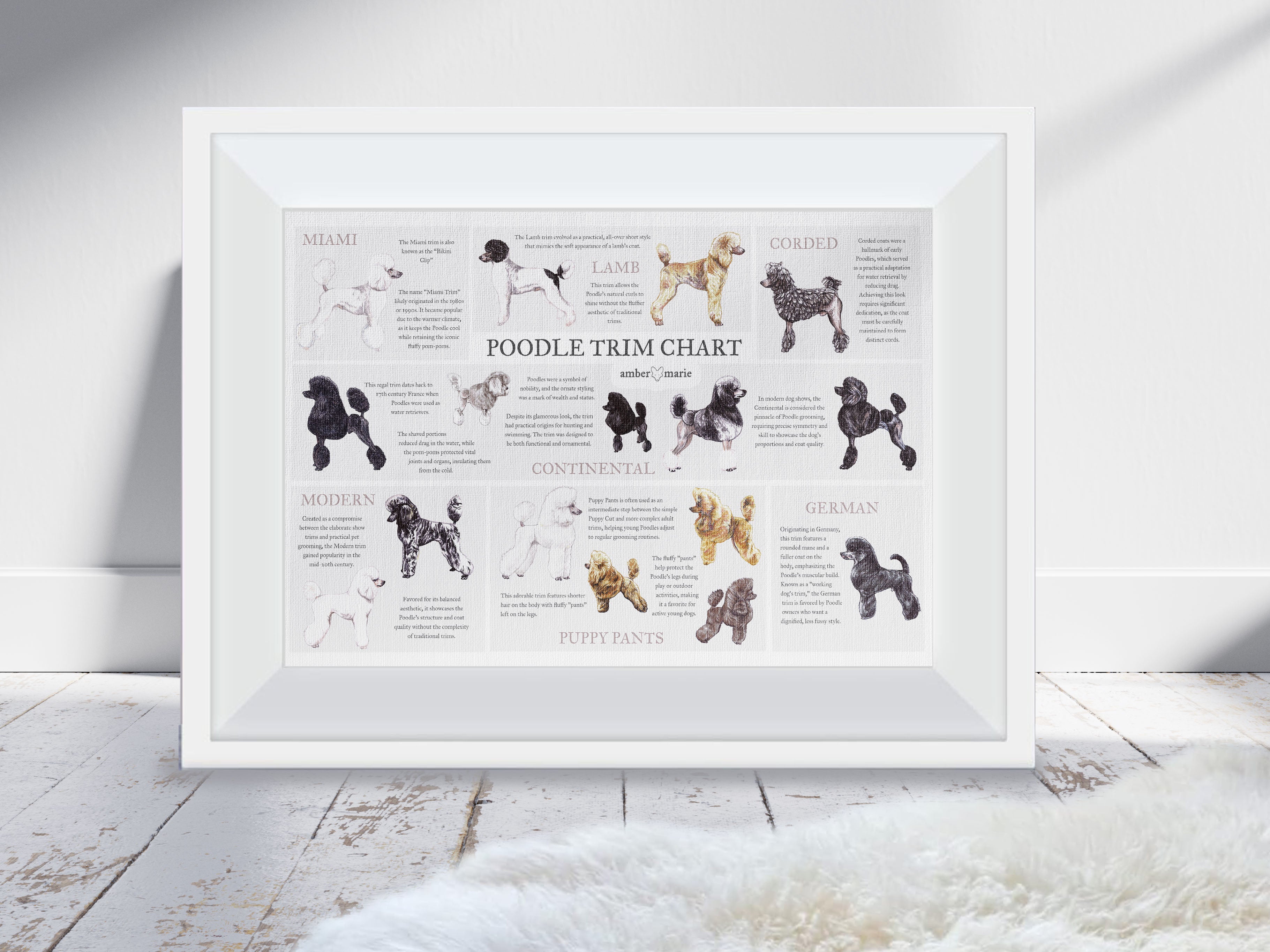 Poodle Trim Chart - Grooming Reference Print - Poster | Amber Marie Studio