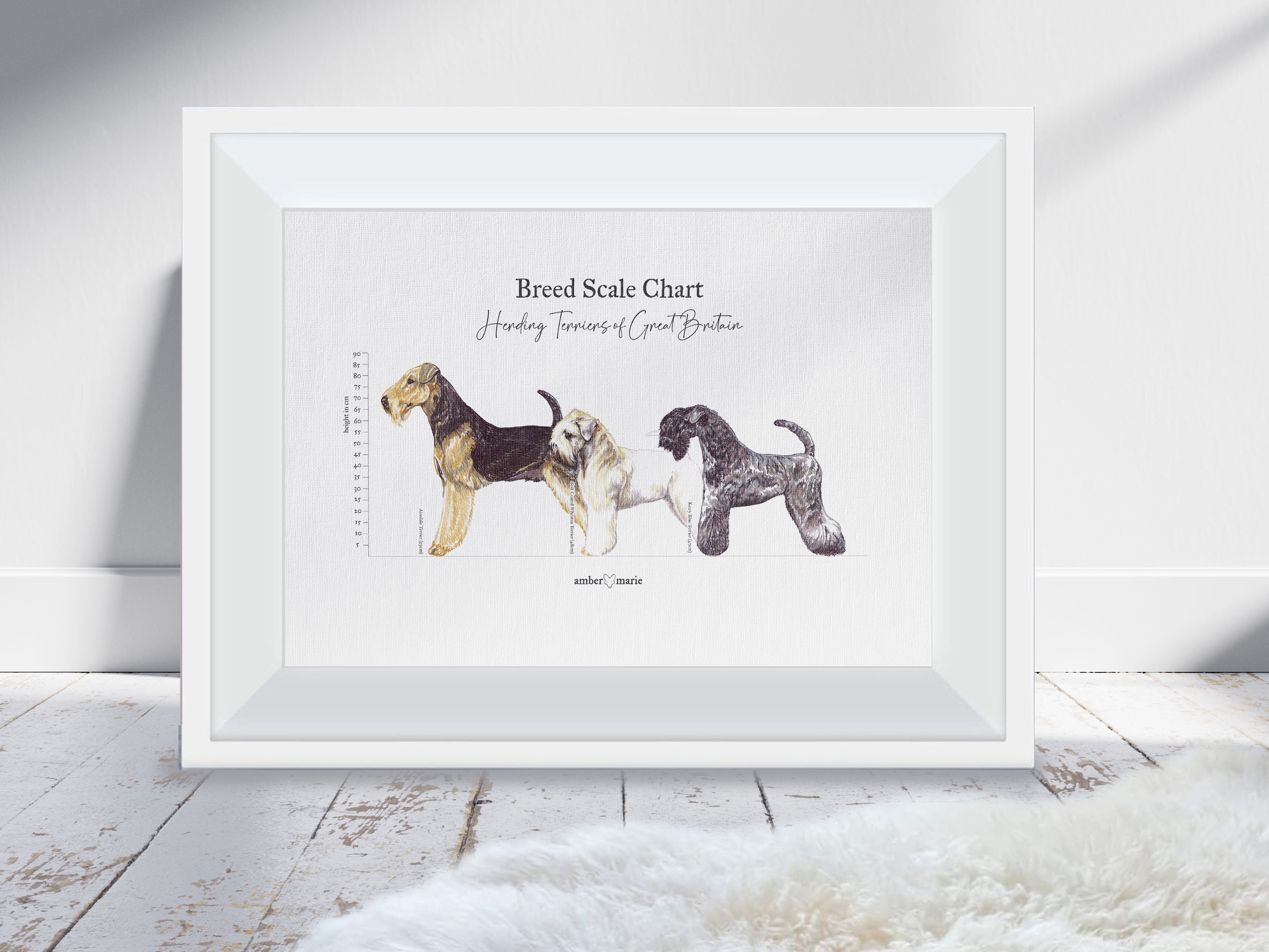Breed Scale Chart - Herding Terriers - Poster | Amber Marie Studio