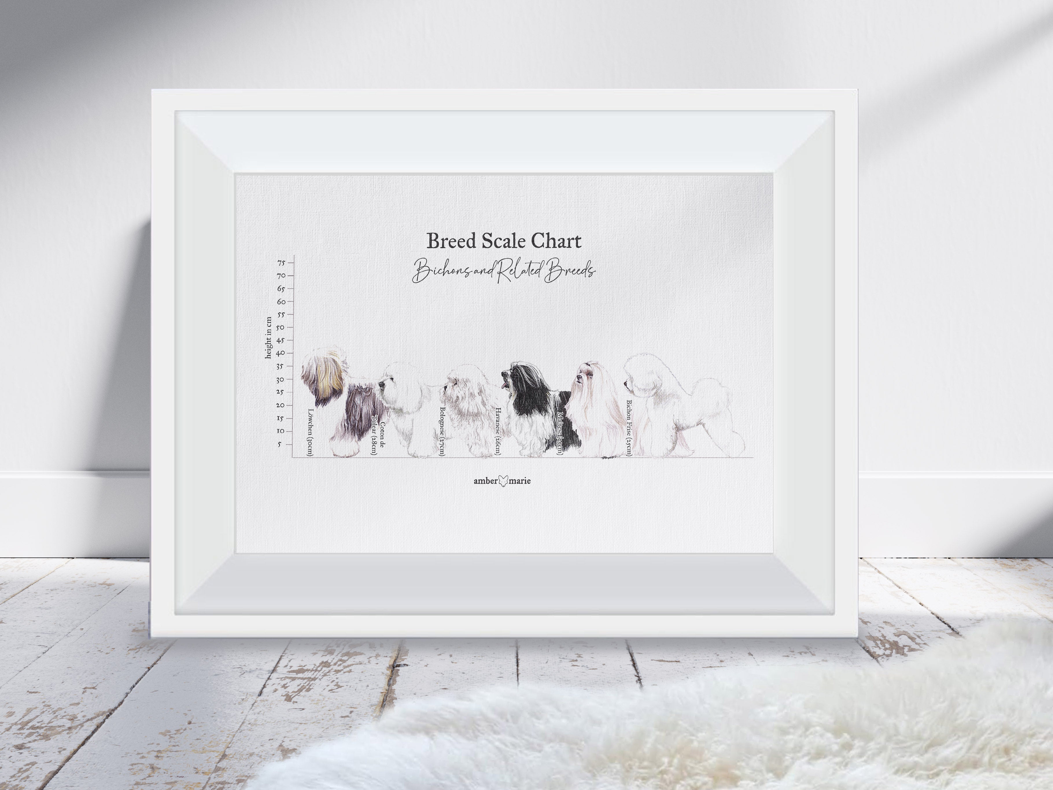 Breed Scale Chart - Bichons and Related Breeds - Poster | Amber Marie ...