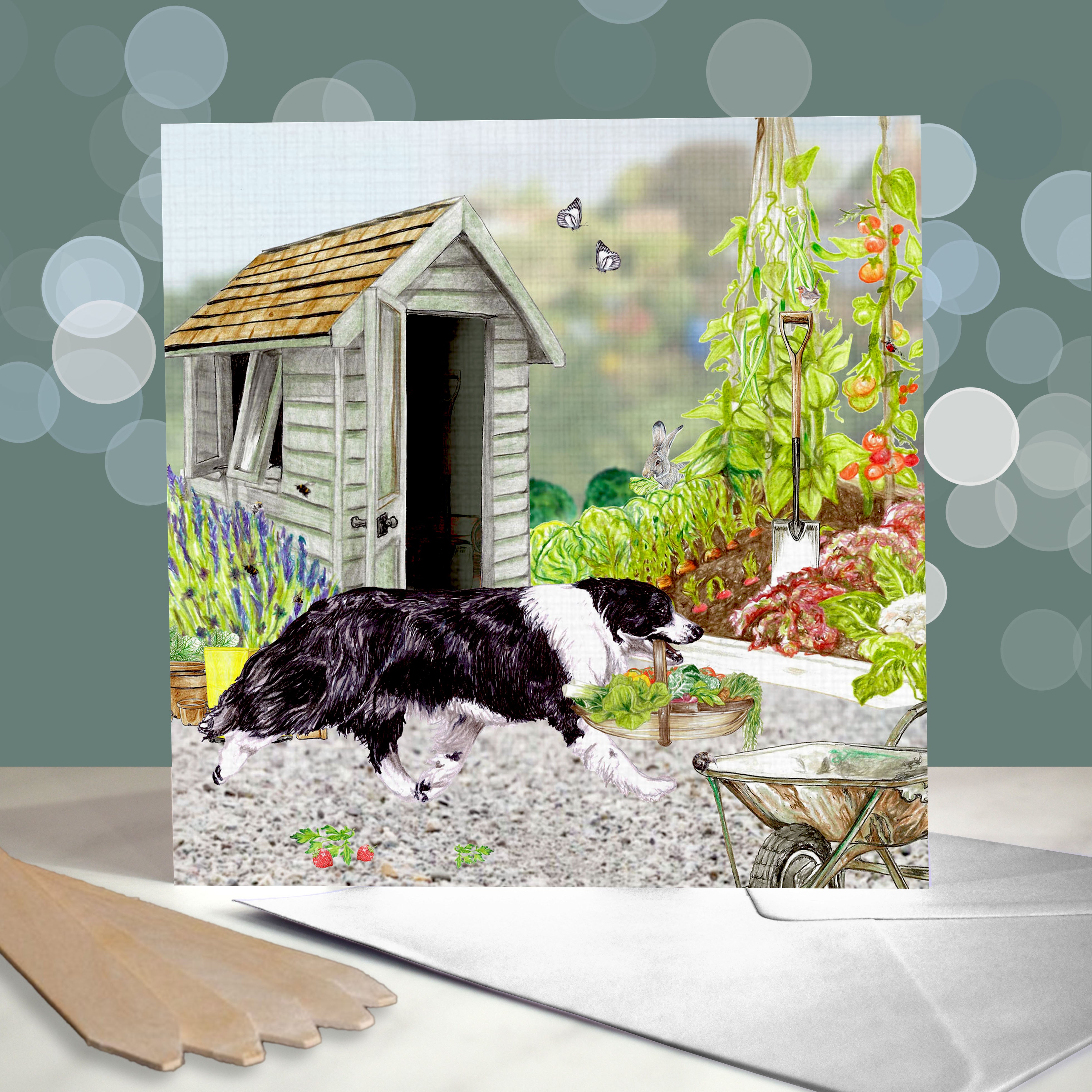 Border Collie Greeting Card / Father's Day Cards | Amber Marie Studio