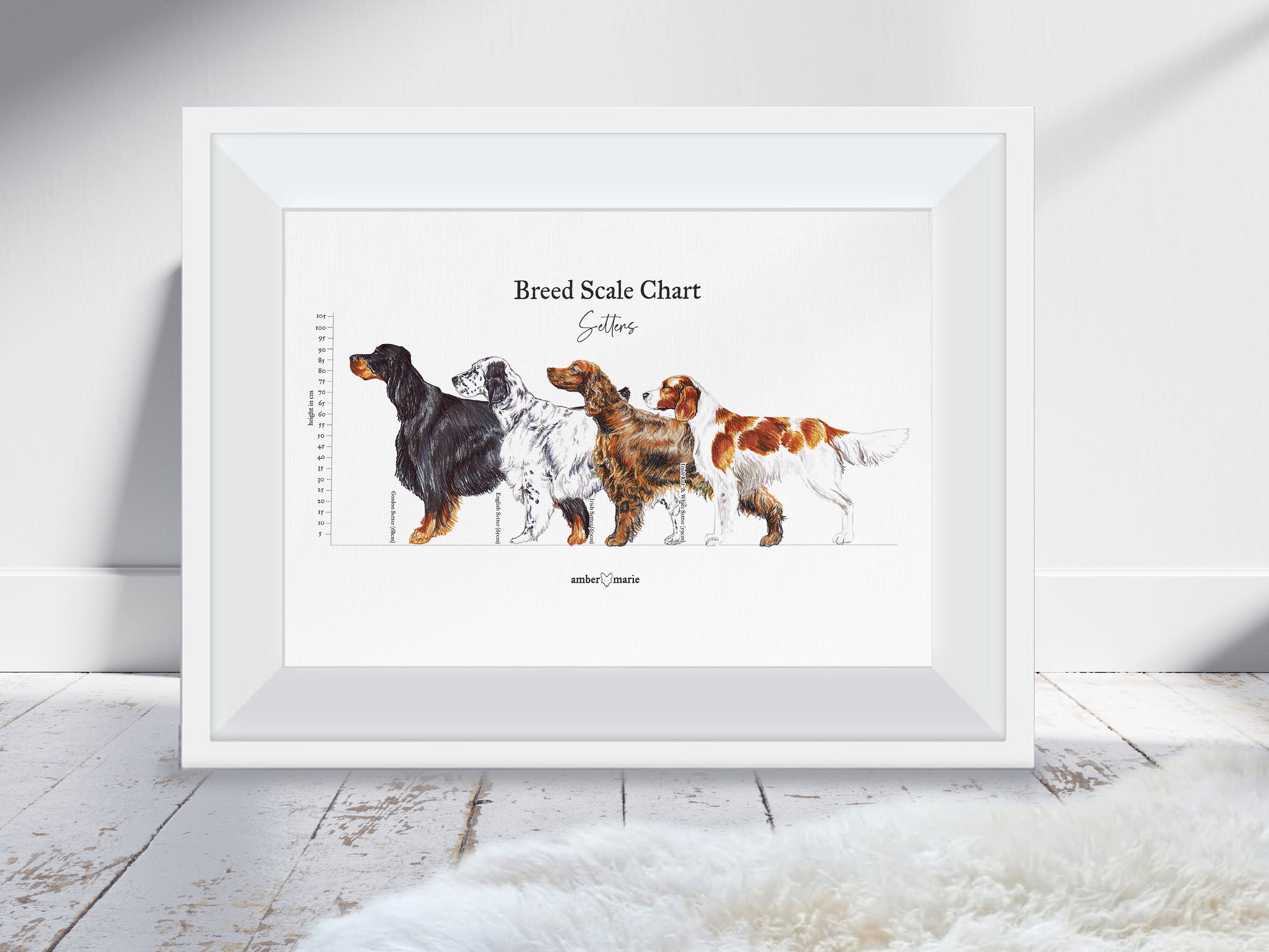 Breed Scale Chart - Setters - Dog Height Chart Poster Print Featuring ...